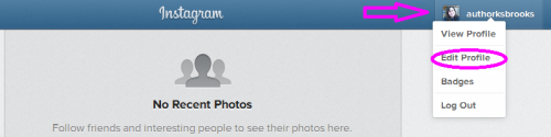 A Beginner’s Tips for Setting Up Instagram | Celebrating Independent ...